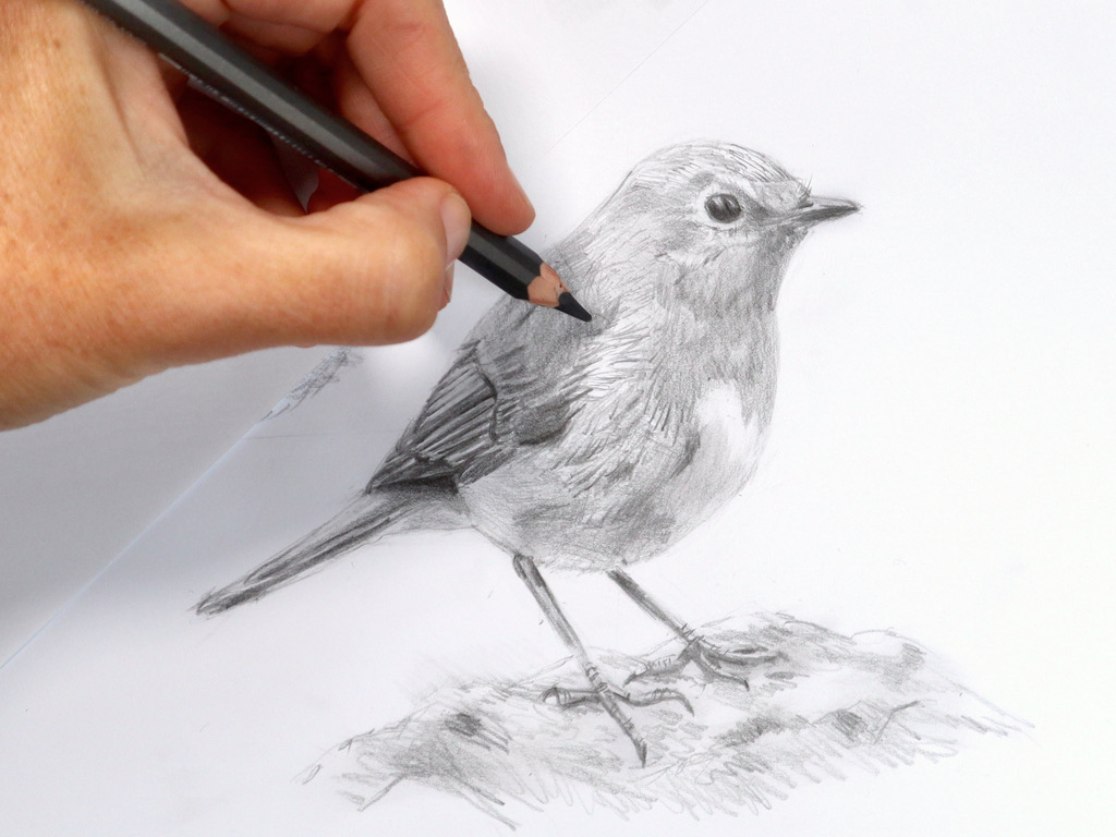 Adults Art Classes | The Pencil Room | Napier