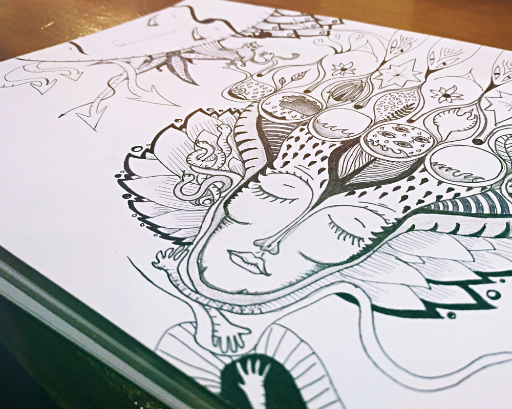 Adults Art Classes | The Pencil Room | Napier